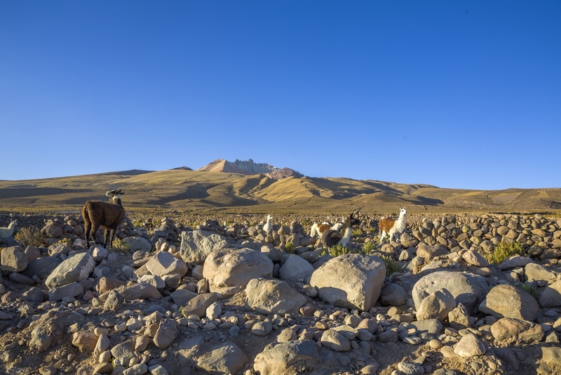 de Ollague a Coqueza